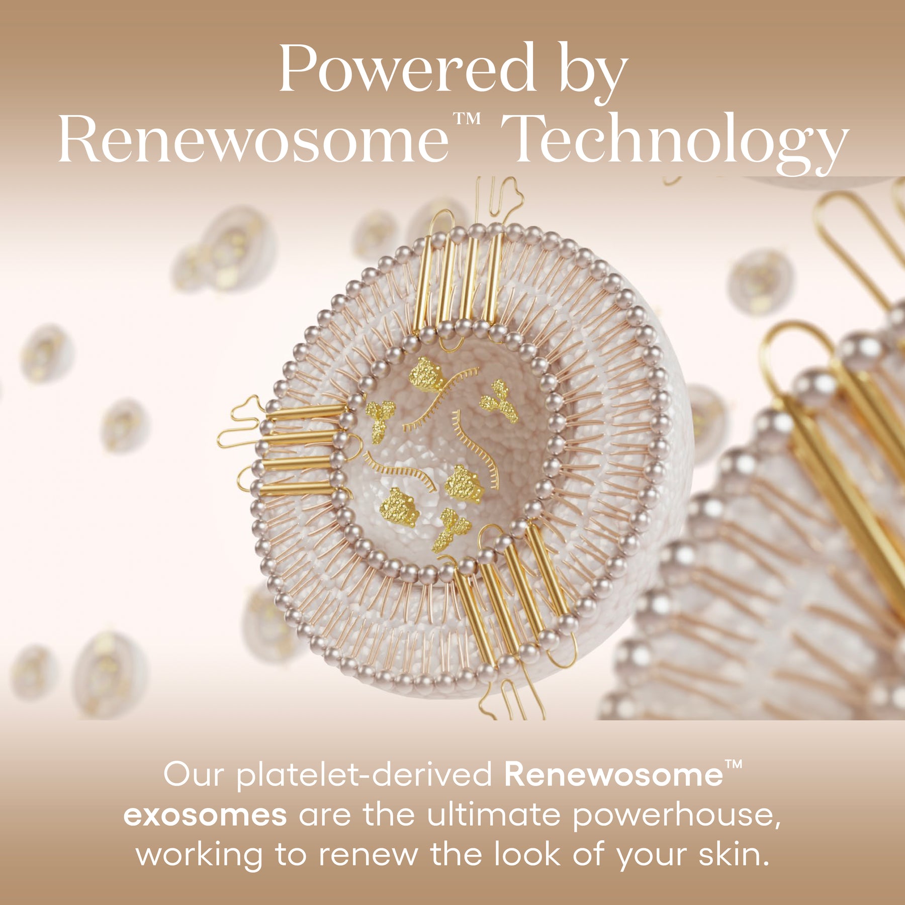 Buy INTENSE Serum Refill Today | Exosome Skin Care Products – ( plated ...